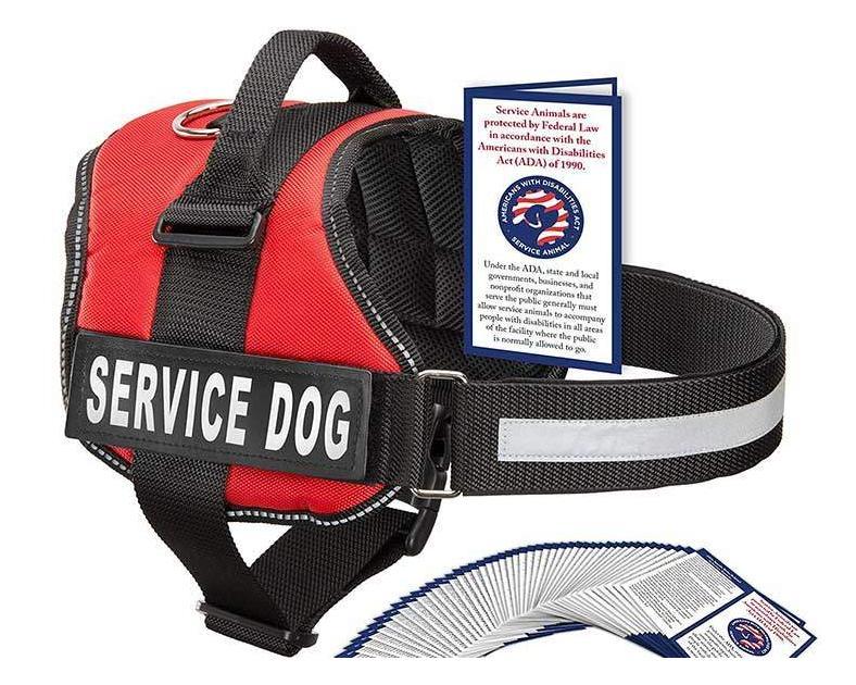 8 Best Service Dog Vests in 2021 (Review by a US Marine)