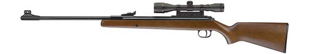 17 Best Pellet Guns in 2021 - Powerful Air Rifles - Marine Approved