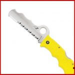 26 Knife Blade Types in 2025 (with Chart & Shape Explanations)