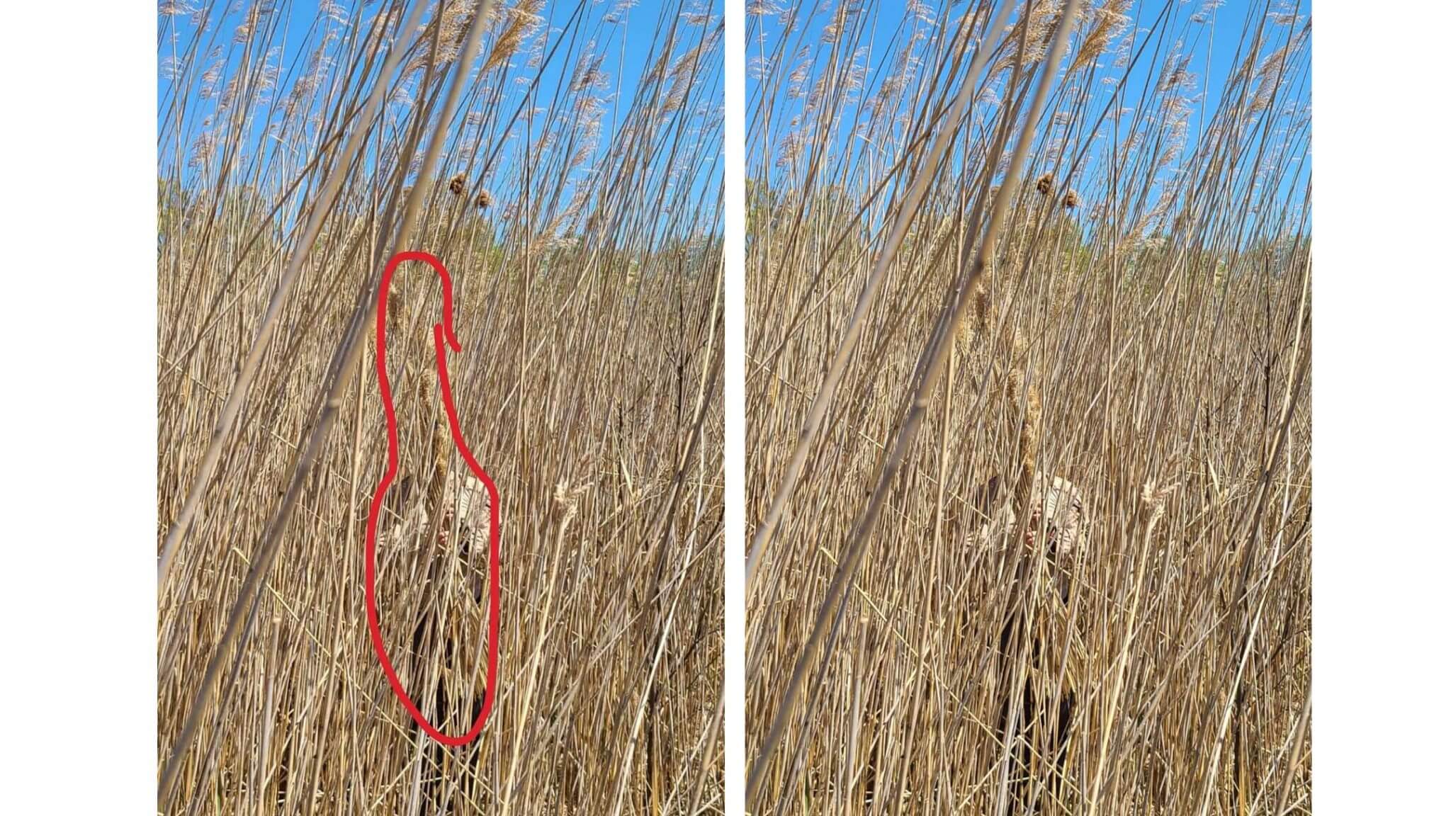 How to Make a Ghillie Suit (Marine Sniper Explains) | 2023 Edition