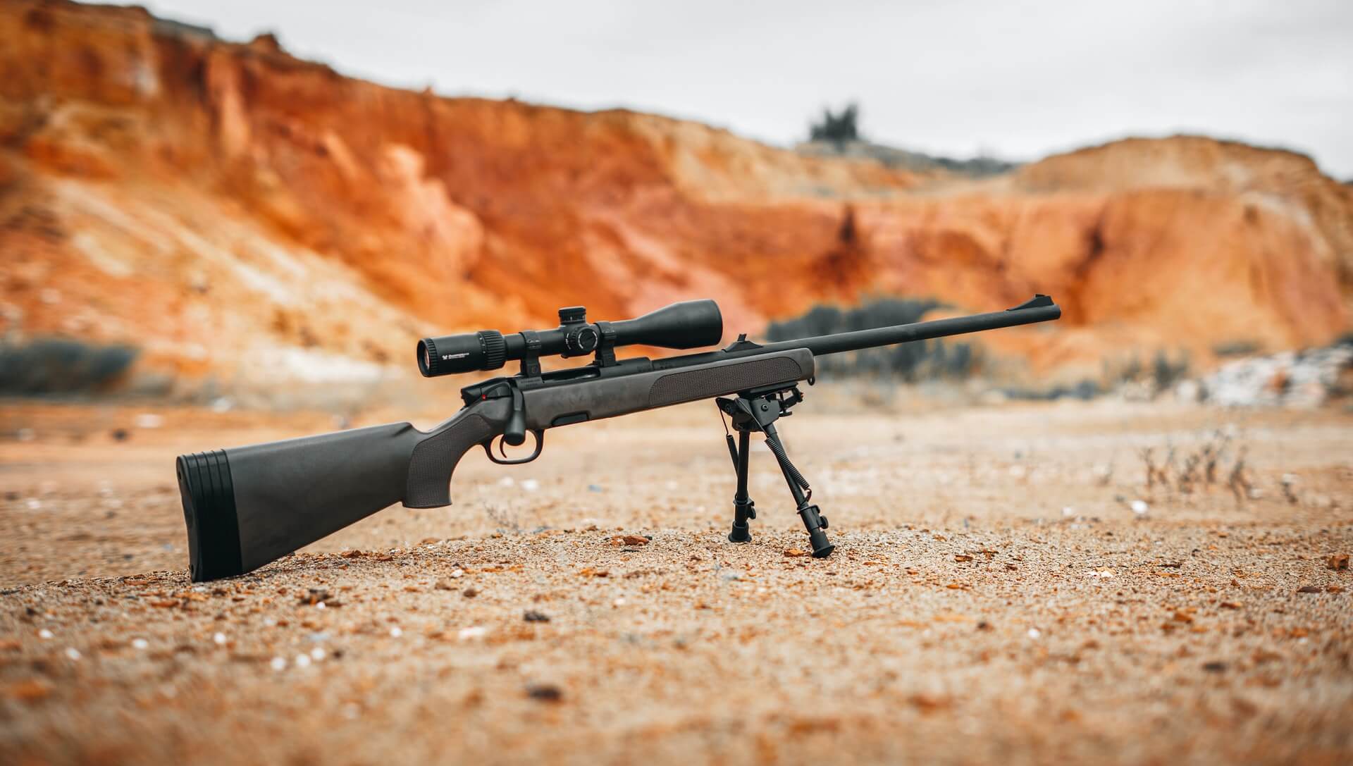 10 Best Ruger 10 22 Upgrades Trigger Scope More Marine Approved