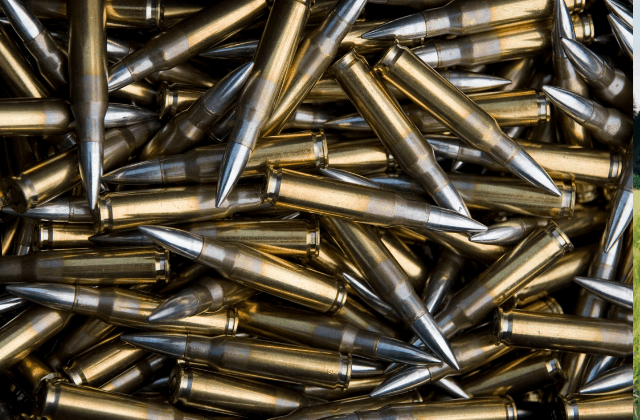 What Are The Primary Elements Of Ammunition Answered Bbqbuy What Are The Primary Elements Of Ammunition Answered Bbqbuy